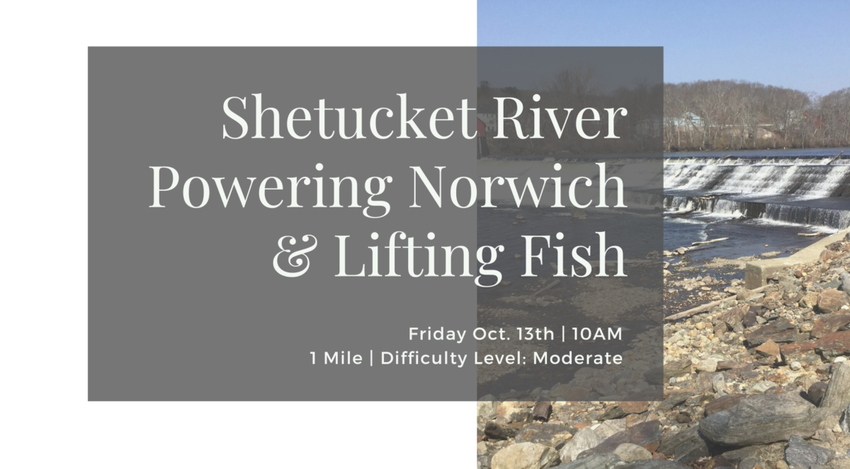 Shetucket River: Powering Norwich and Lifting Fish - Norwich Historical ...